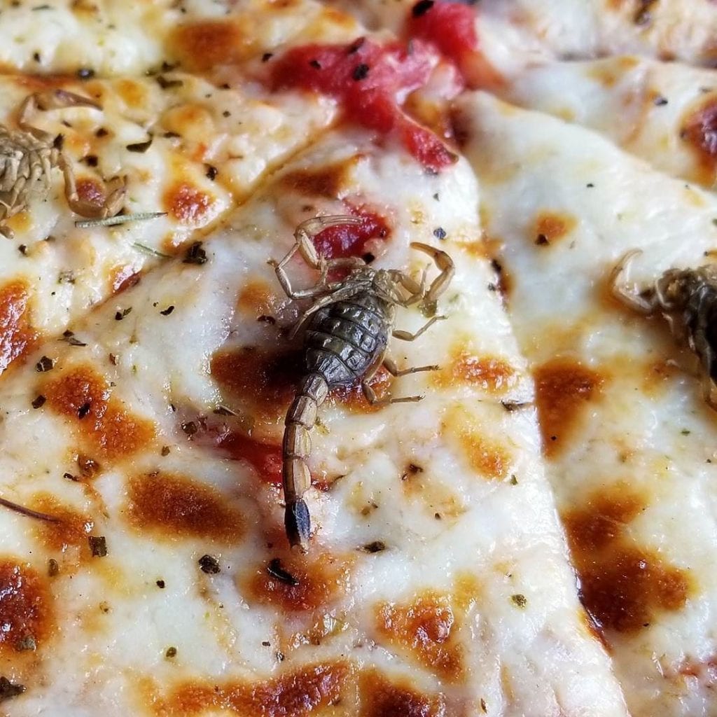 scorpion-pizza | Wonderland Food & Equipment